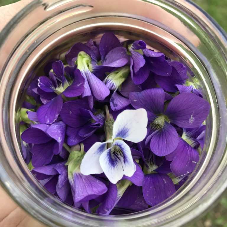 Violet Jelly-Beautiful Amethyst Color and Delicate Floral Flavor