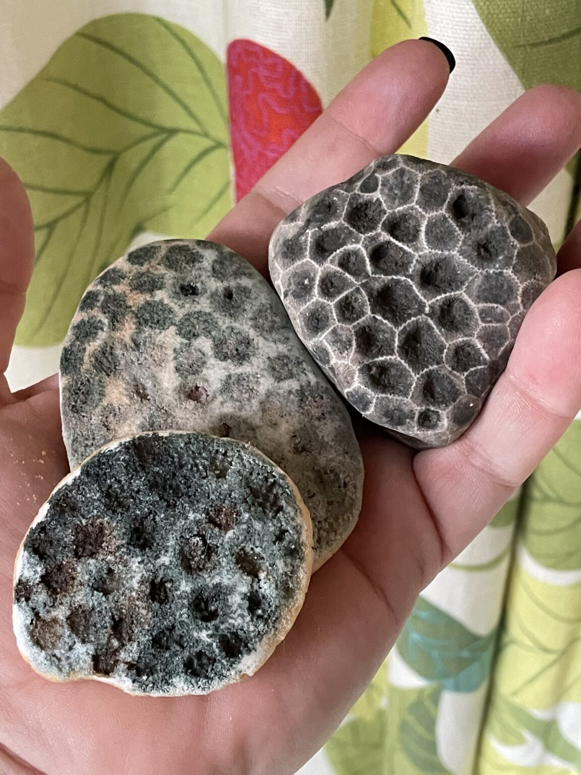 Realistic Rock Cookies – Bakers Brigade