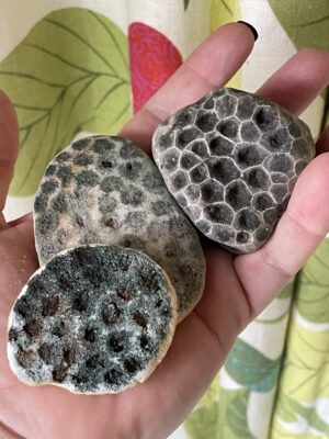Realistic Rock Cookies – Bakers Brigade